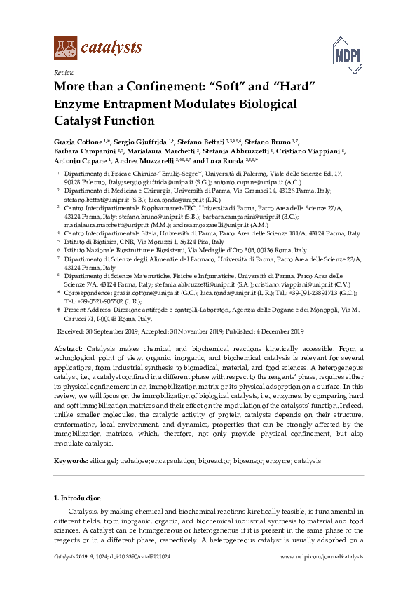(PDF) More than a Confinement: “Soft” and “Hard” Enzyme Entrapment ...