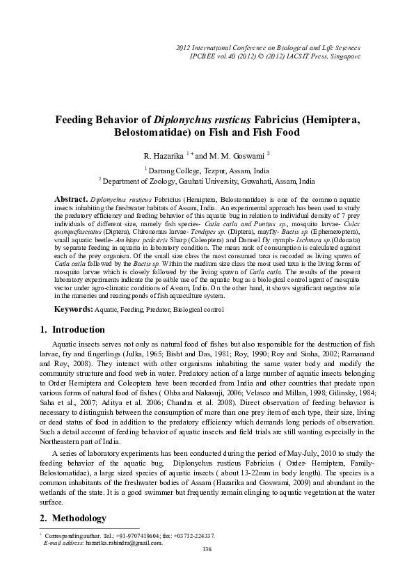 (PDF) Feeding Behavior of Diplonychus rusticus Fabricius (Hemiptera ...