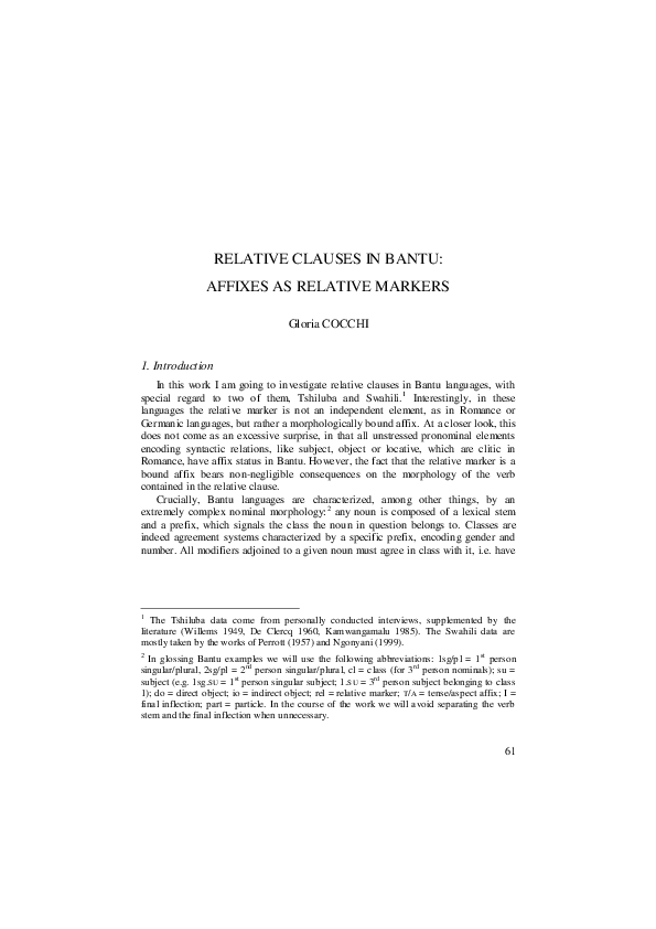 (PDF) Relative clauses in Bantu: affixes as relative markers