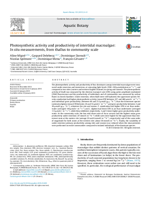 (PDF) Hotosynthetic Activity and Productivity of Intertidal Macroalgae : N Situ Measurements ...