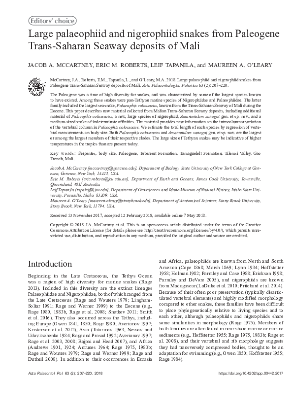 (PDF) Large palaeophiid and nigerophiid snakes from Paleogene Trans ...