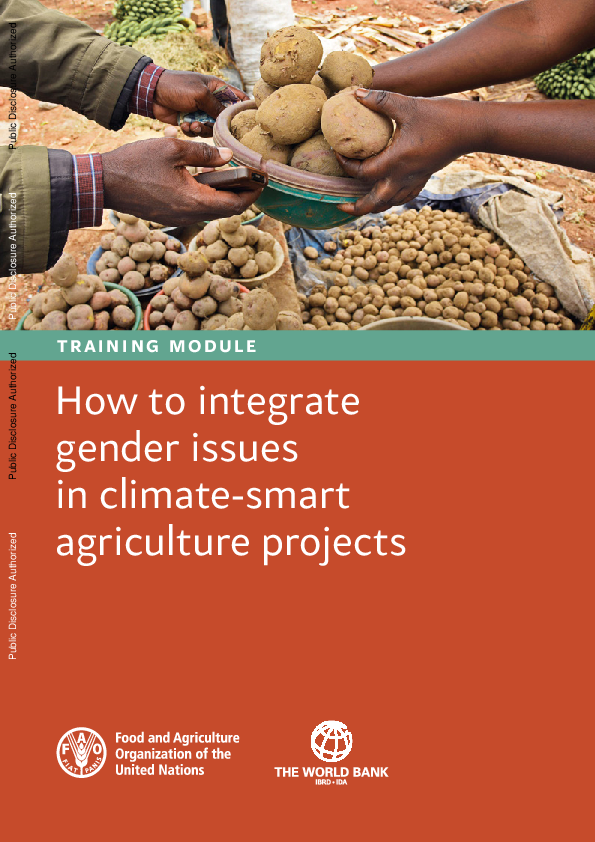 (PDF) How to integrate gender issues in climate-smart agriculture ...