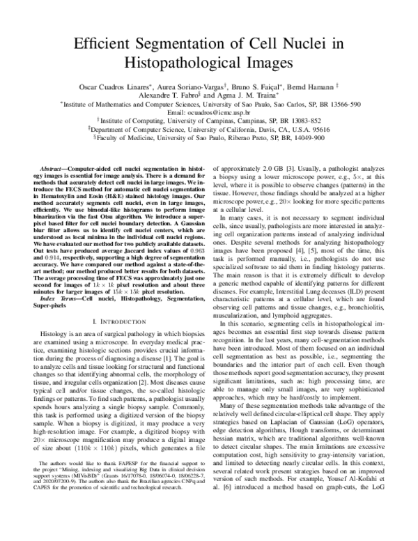 (PDF) Efficient Segmentation of Cell Nuclei in Histopathological Images