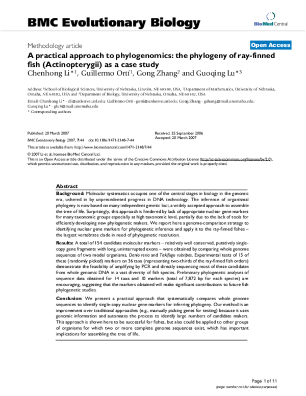 (PDF) A practical approach to phylogenomics: the phylogeny of ray ...
