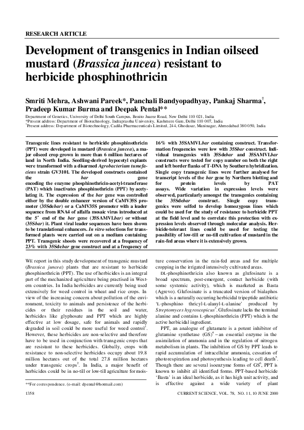 (PDF) Development of Transgenics In Indian Oilseed Mustard (Brassica ...