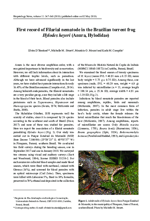 (PDF) First record of Filiarial nematode in the Brazilian torrent frog ...