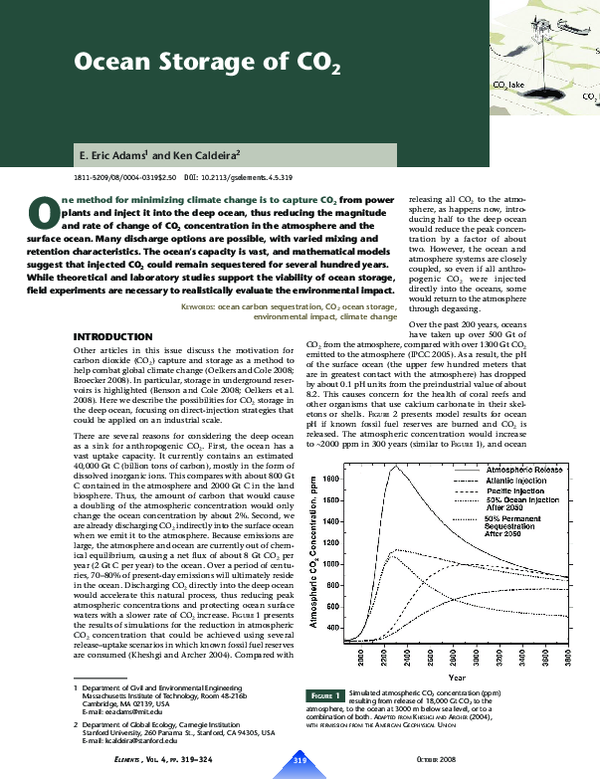(PDF) Ocean Storage of CO 2