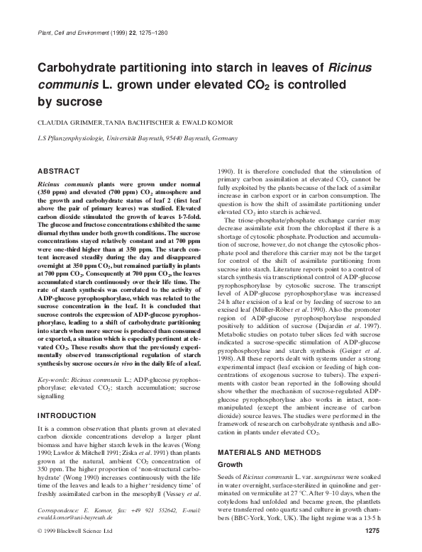 (PDF) Carbohydrate partitioning into starch in leaves of Ricinus ...