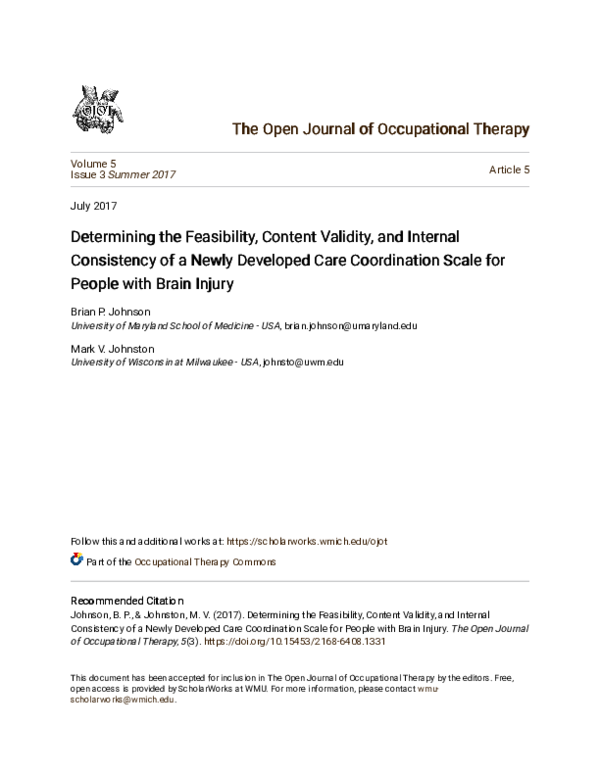 (PDF) Determining the Feasibility, Content Validity, and Internal ...