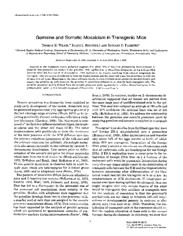 (PDF) Germline and somatic mosaicism in transgenic mice