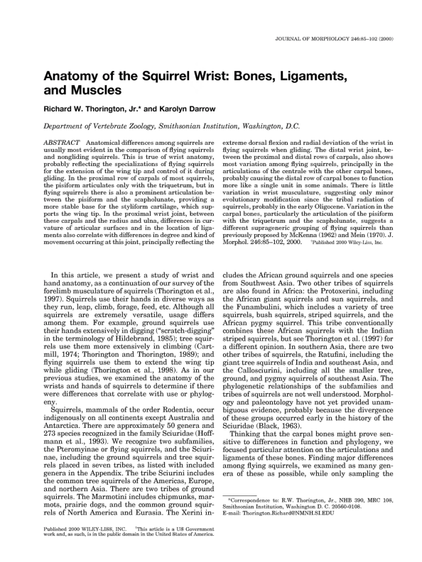 (PDF) Anatomy of the squirrel wrist: bones, ligaments, and muscles