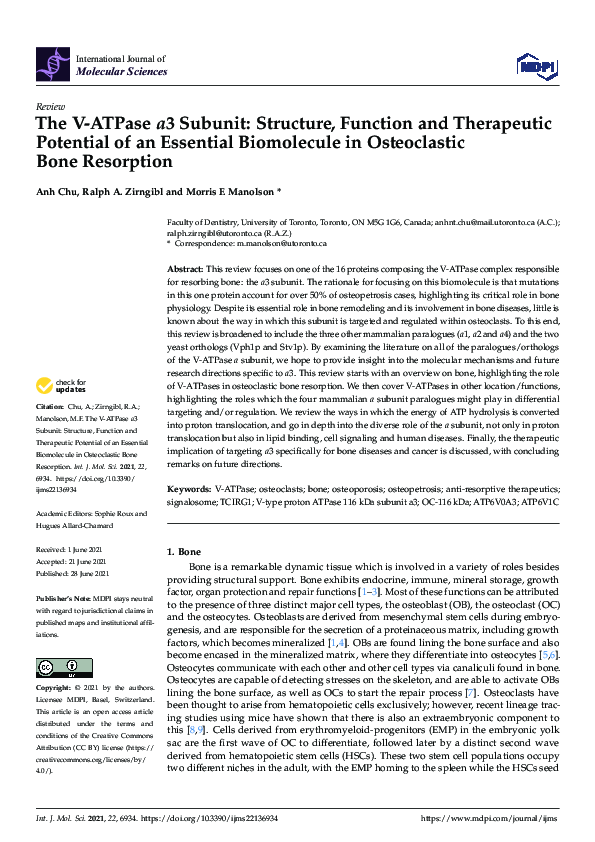 (PDF) The V-ATPase a3 Subunit: Structure, Function and Therapeutic Potential of an Essential ...