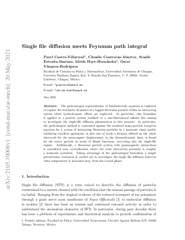 (PDF) Single file diffusion meets Feynman path integral