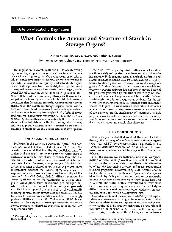 (PDF) What Controls the Amount and Structure of Starch in Storage Organs?