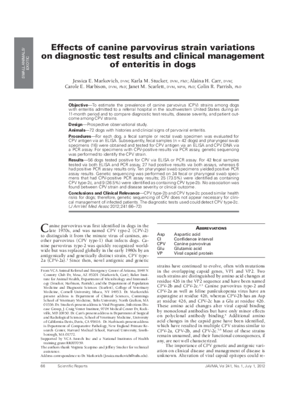 (PDF) Effects of canine parvovirus strain variations on diagnostic test ...