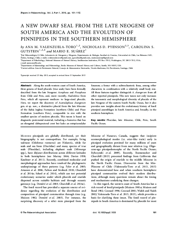 (PDF) A new dwarf seal from the late Neogene of South America and the ...