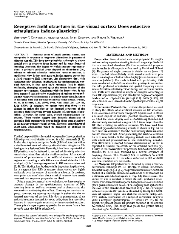 Pdf Receptive Field Structure In The Visual Cortex Does Selective
