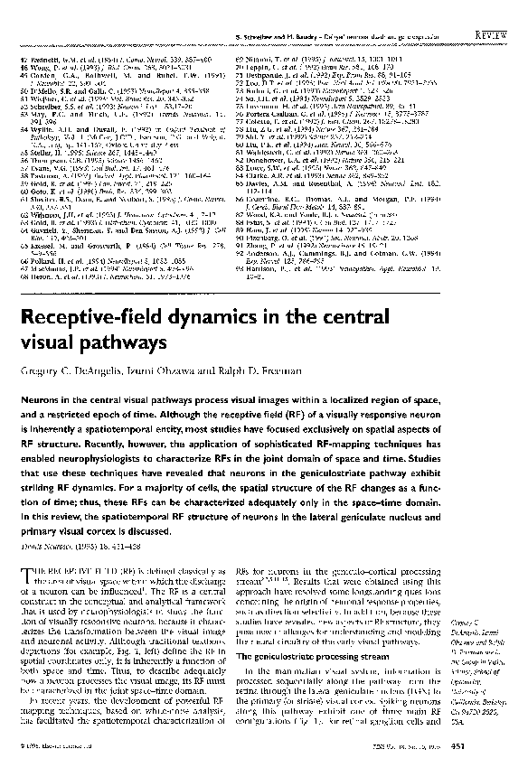 (PDF) Receptive-field dynamics in the central visual pathways
