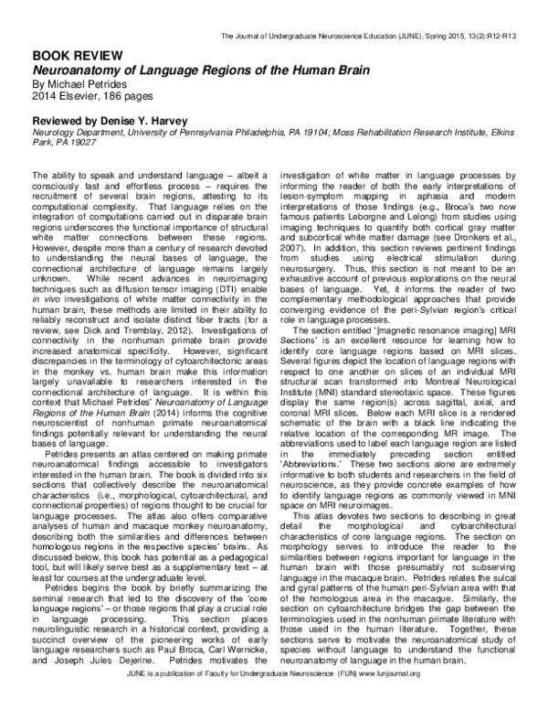 (PDF) Neuroanatomy of Language Regions of the Human Brain