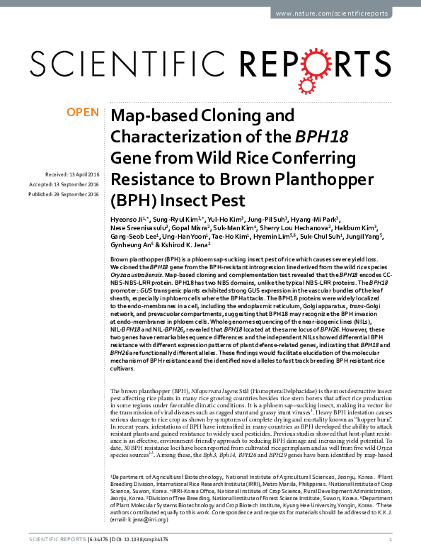 (PDF) Map-based Cloning and Characterization of the BPH18 Gene from ...