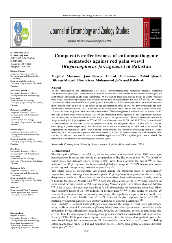 (PDF) Comparative effectiveness of entomopathogenic nematodes against red palm weevil ...
