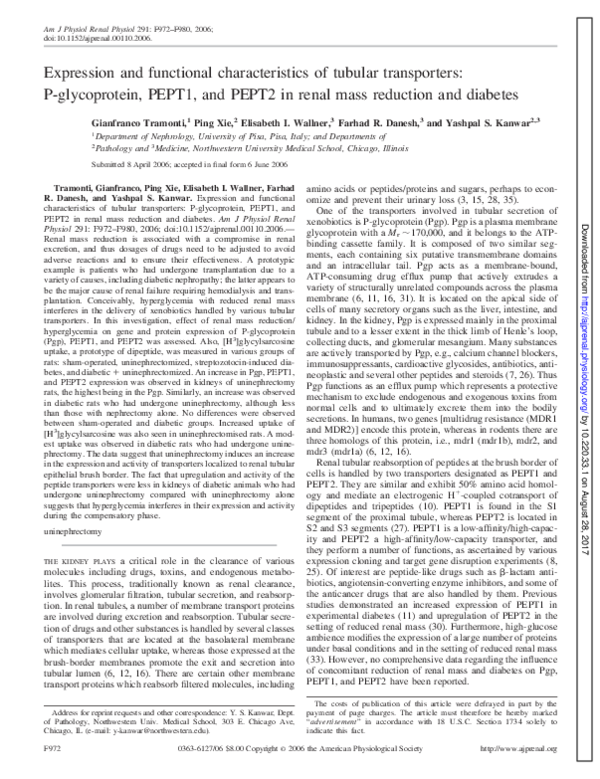 (PDF) Expression and functional characteristics of tubular transporters ...