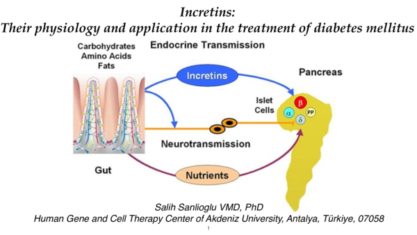(PDF) Incretins: their physiology and application in the treatment of ...