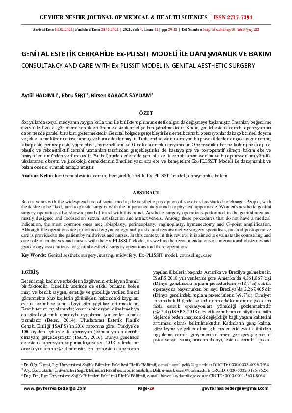 (PDF) CONSULTANCY AND CARE WITH Ex-PLISSIT MODEL IN GENITAL AESTHETIC ...