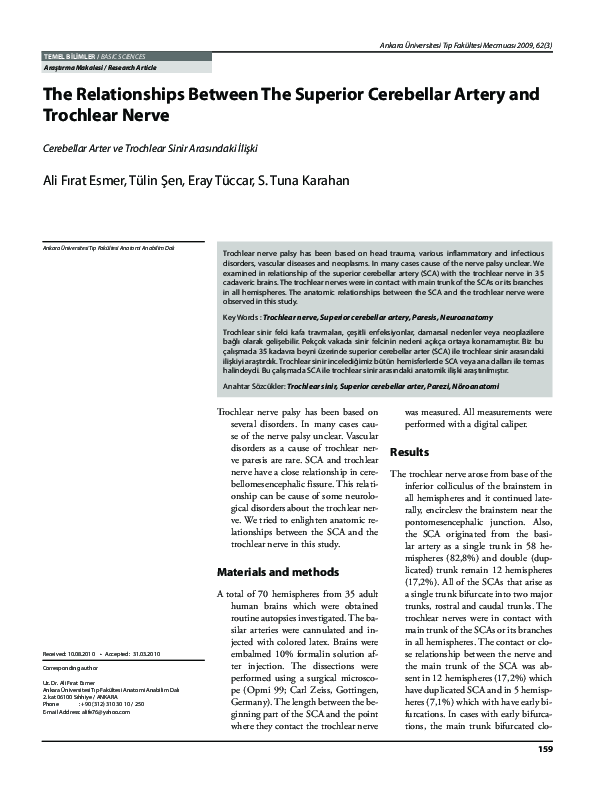 (PDF) The Relationships Between The Superior Cerebellar Artery and ...
