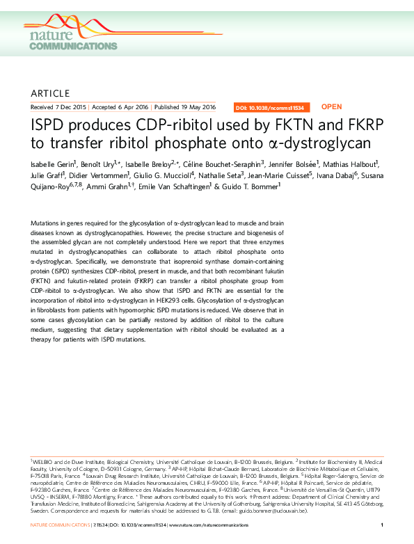 (PDF) ISPD produces CDP-ribitol used by FKTN and FKRP to transfer ...