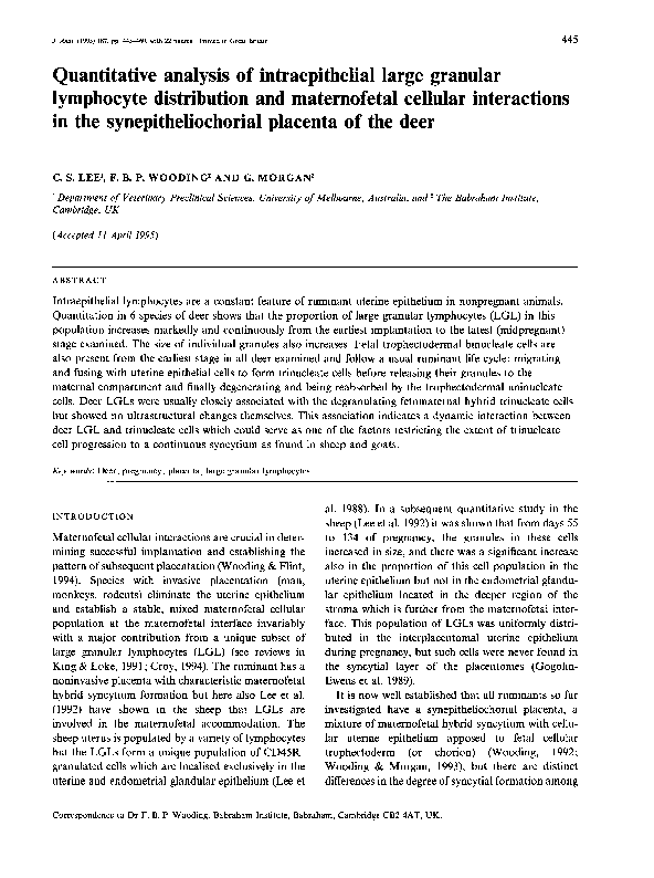 (PDF) Quantitative analysis of intraepithelial large granular ...