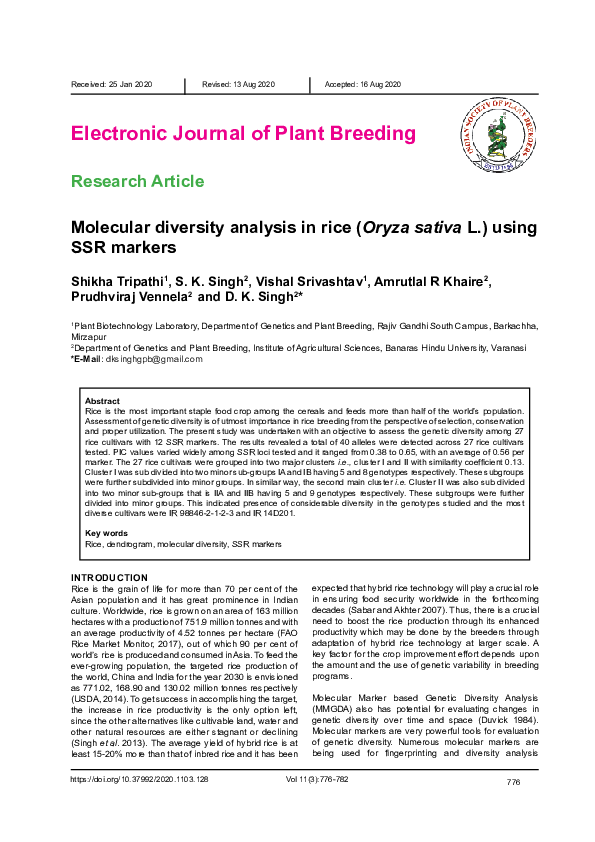 (PDF) Molecular diversity analysis in rice (Oryza sativa L.) using SSR markers