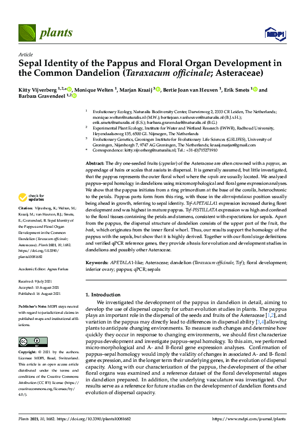 (PDF) Sepal Identity of the Pappus and Floral Organ Development in the ...