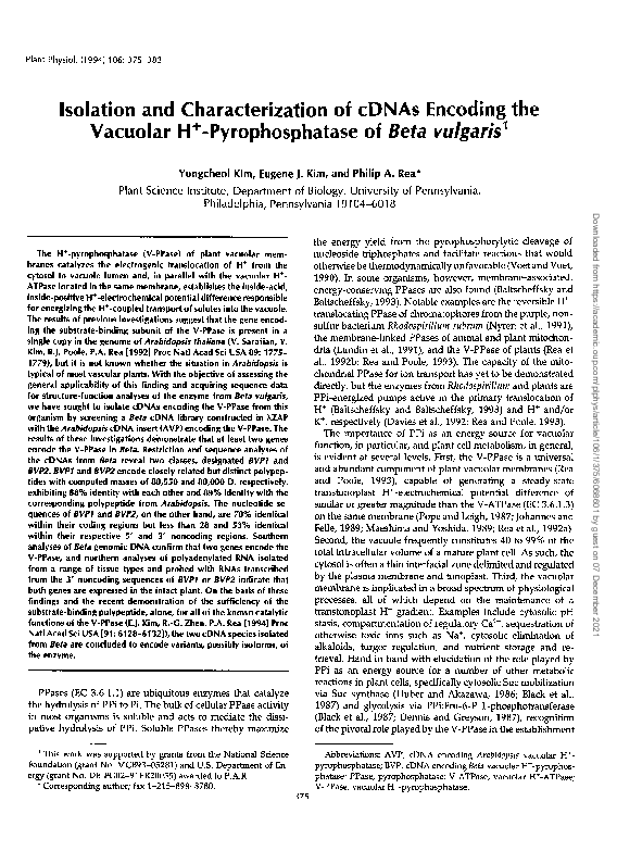 (PDF) Characterization of H+-Pyrophosphatase in Beta vulgaris (PDF) Characterization of H+-Pyrophosphatase in Beta vulgaris