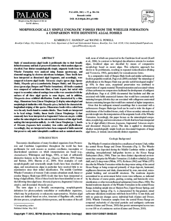 (PDF) MORPHOLOGICALLY SIMPLE ENIGMATIC FOSSILS FROM THE WHEELER ...