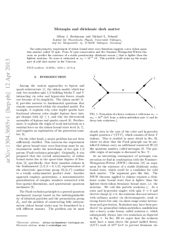 (PDF) Metaspin and dirishonic dark matter