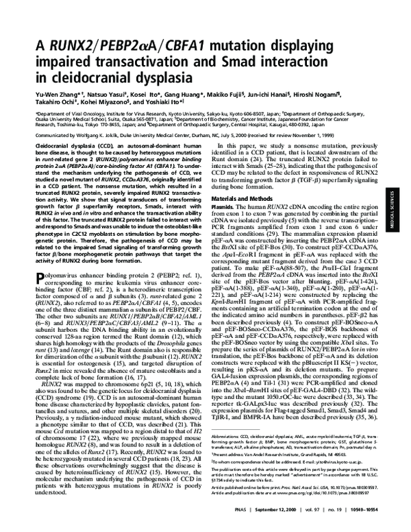 (PDF) A RUNX2/PEBP2αA/CBFA1 Mutation Displaying Impaired Transactivation and Smad Interaction In ...