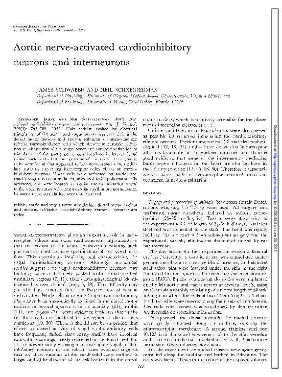 (PDF) Aortic nerve-activated cardioinhibitory neurons and interneurons