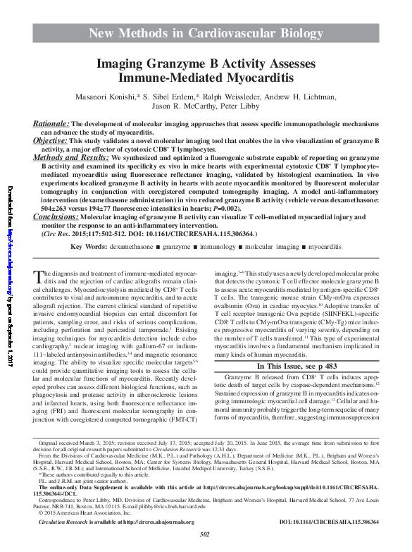 (PDF) Imaging Granzyme B Activity Assesses Immune-Mediated Myocarditis