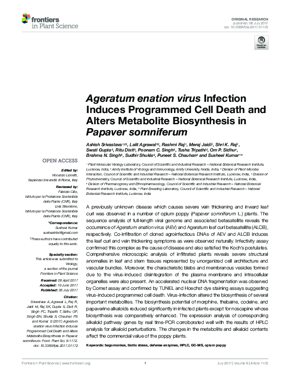 (PDF) Ageratum enation virus Infection Induces Programmed Cell Death ...
