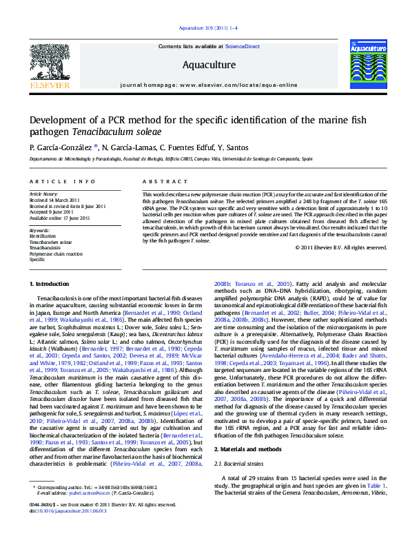 (PDF) Development of a PCR method for the specific identification of ...