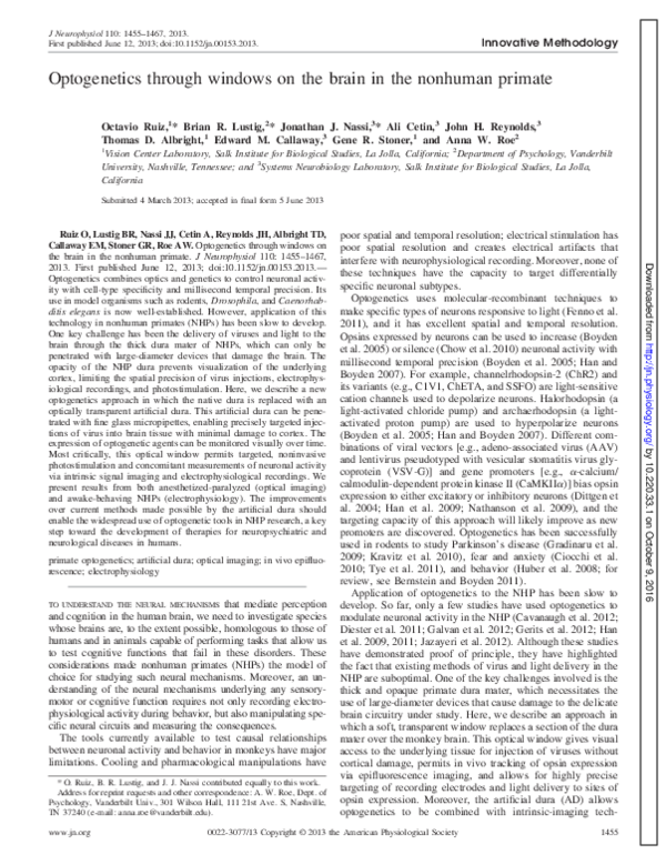(PDF) Optogenetics through windows on the brain in the nonhuman primate