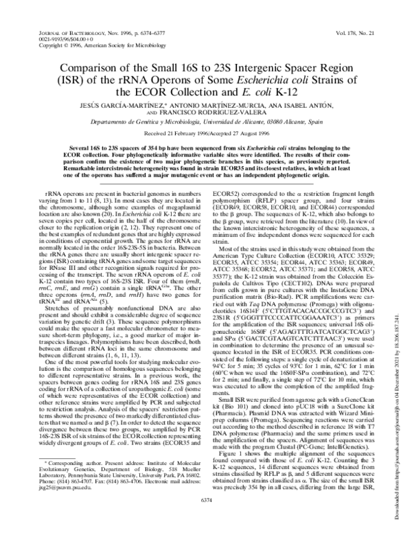 (PDF) Comparison of the Small 16 S to 23 S Intergenic Spacer Region ...