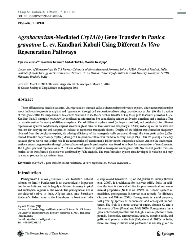 (PDF) Agrobacterium-mediated Cry1A(b) gene transfer in Punica granatum ...