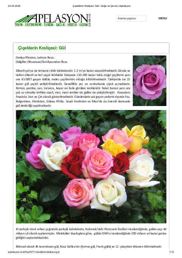 (PDF) Çiçeklerin Kraliçesi : Gül