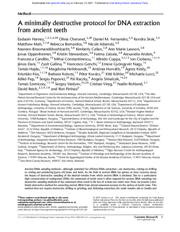 Pdf A Minimally Destructive Protocol For Dna Extraction From Ancient