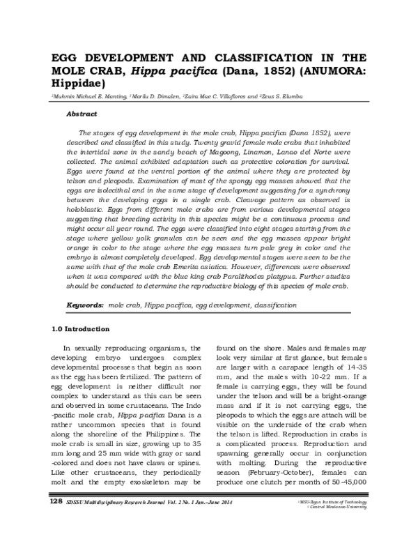 (PDF) EGG DEVELOPMENT AND CLASSIFICATION IN THE MOLE CRAB, Hippa ...