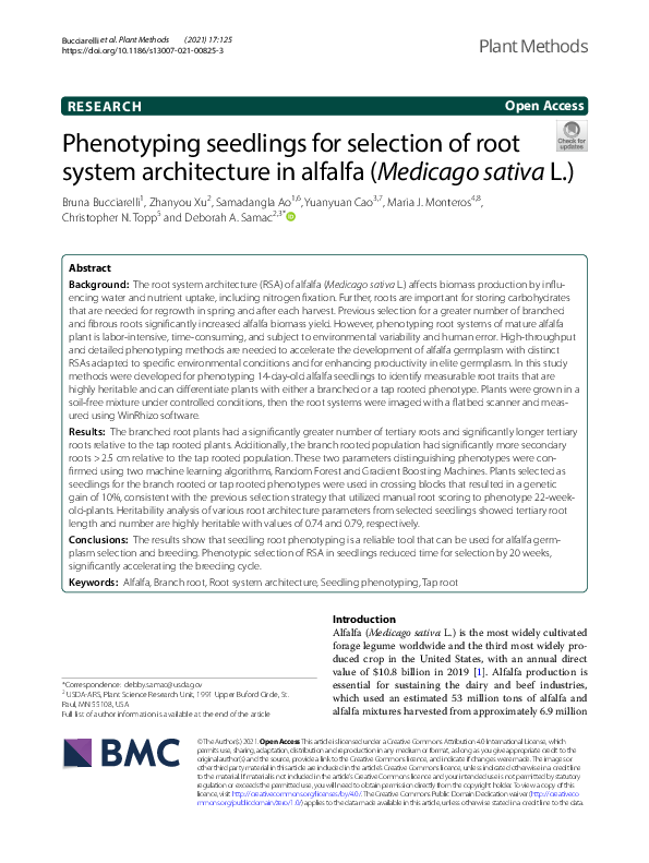 (PDF) Phenotyping seedlings for selection of root system architecture in alfalfa (Medicago ...
