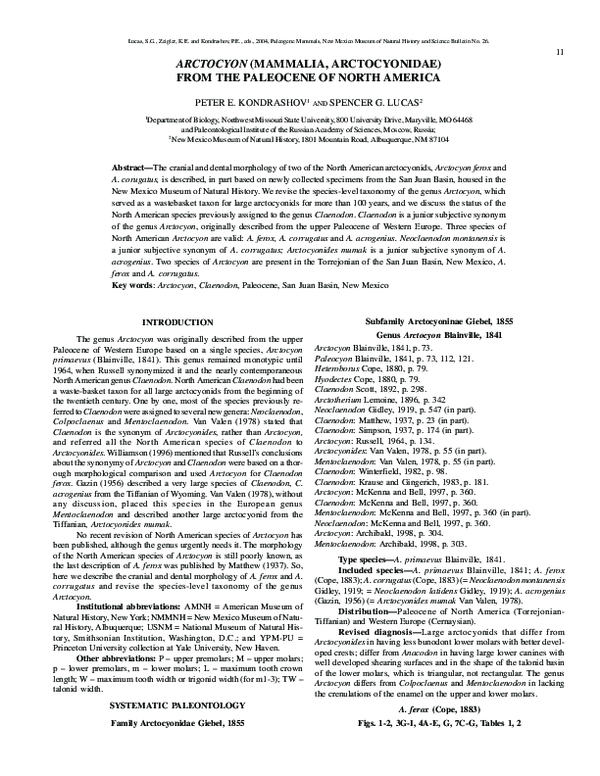 (PDF) Arctocyon (Mammalia, Arctocyonidae) from the Paleocene of North ...