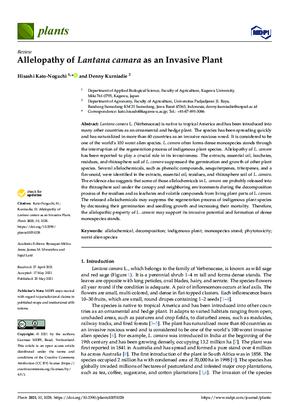 (PDF) Allelopathy of Lantana camara as an Invasive Plant